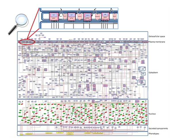 RA-map: a state-of-the-art interactive knowledge base for rheumatoid ...